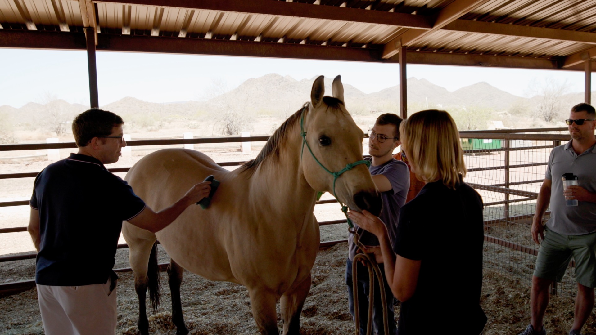 Photo Gallery & Virtual Tour | Soberman's Estate